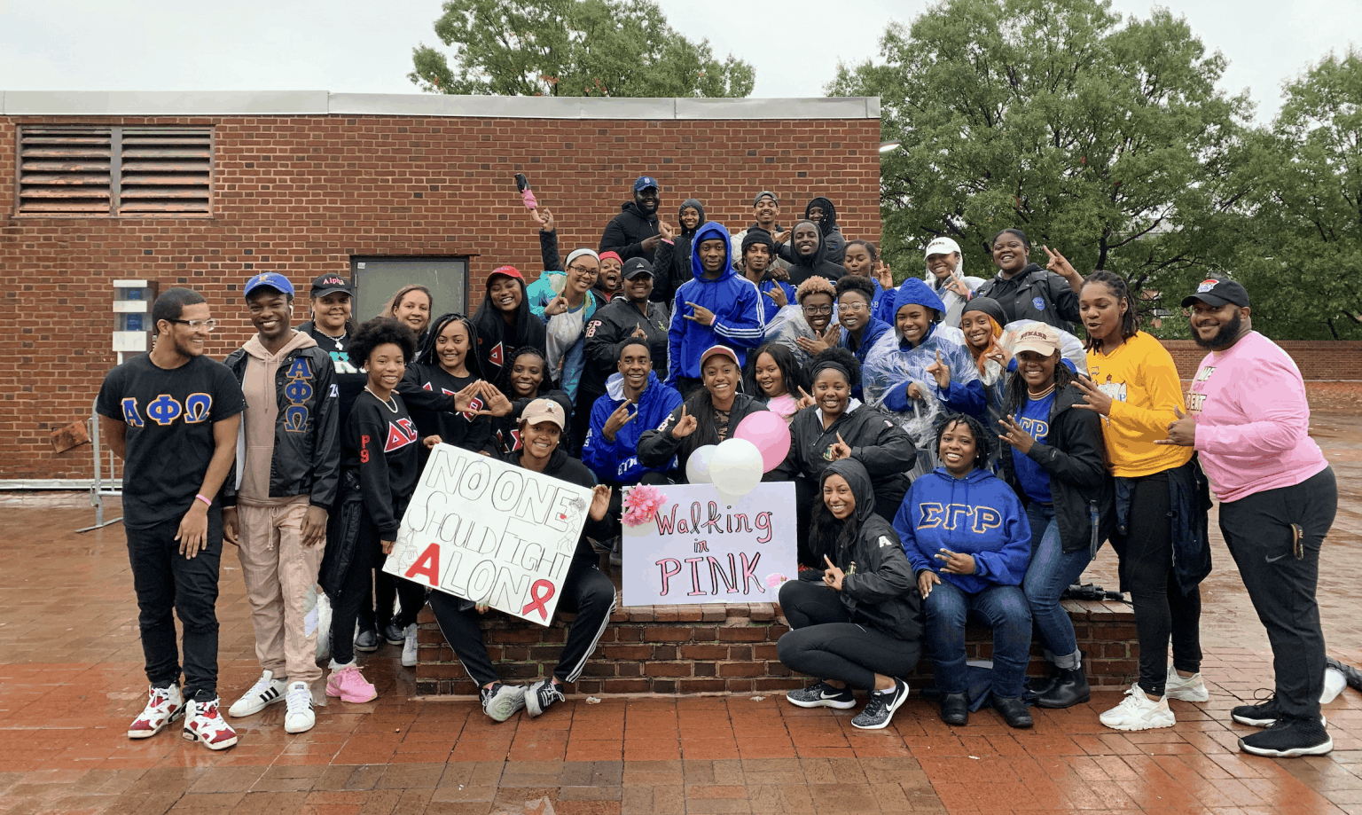 The Women Of Alpha Kappa Alpha at Howard Host Their Inagural Walk for ...